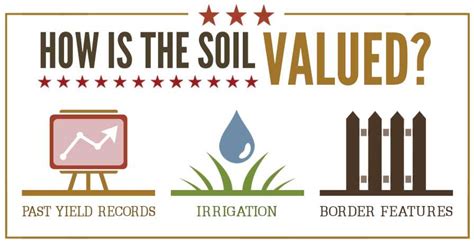 How Soil Type Affects Land Values Growing Produce