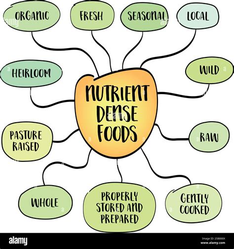 Attributes Of Nutrient Dense Foods Healthy Eating Concept Infographics Sketch Stock Vector