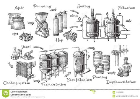 Discover The Art Of Brewing With Vector Beer Infographics Illustrated