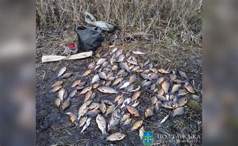 Миргородець наглушив риби на 600 тисяч гривень Решетилівщина Ua