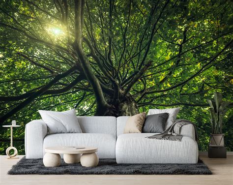 Wall Mural Big Tree Branches Vinyl Wallpaper Green Tree Mural Etsy