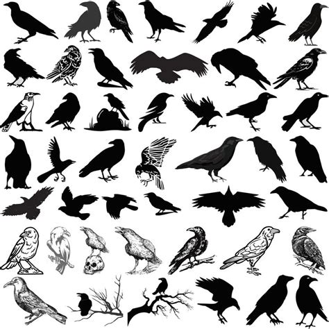 Raven Svg Bundle Raven Clipart Raven Svg Cut Files For Cricut Dark