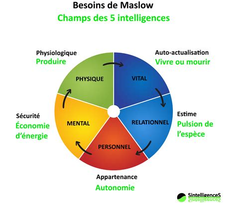 Intelligences Multiples 5 Intelligences