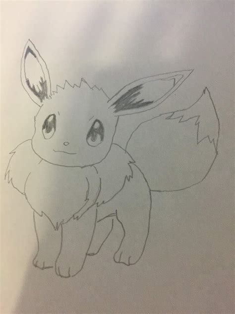 EEVEE EVOLUTIONS DRAWING Anime Amino