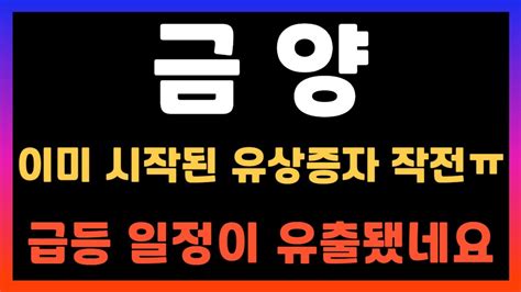 금양 주가전망 유상증자 작전 급등 일정 유출 Youtube