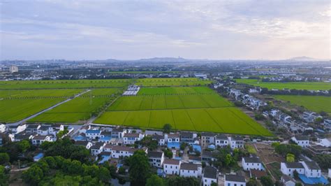 张家港经开区（杨舍镇）：党建引领“强引擎”，农文旅融合“赋新能” 南新村 服务 农业