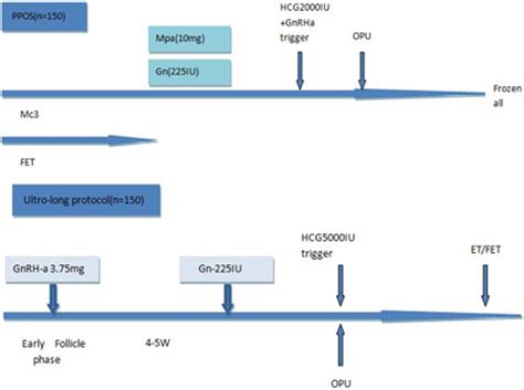 Stimulation Protocols In Ovarian Endometriosis During Ivf Download