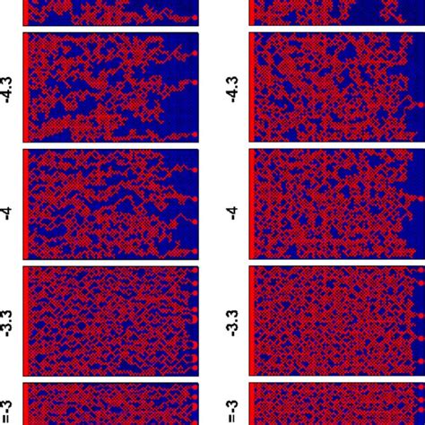 Pdf Lattice Boltzmann Simulation Of Immiscible Fluid Displacement In Porous Media Homogeneous