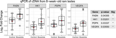 Log 2 Fold Change Of Testicular Gene Expression Between Download Scientific Diagram