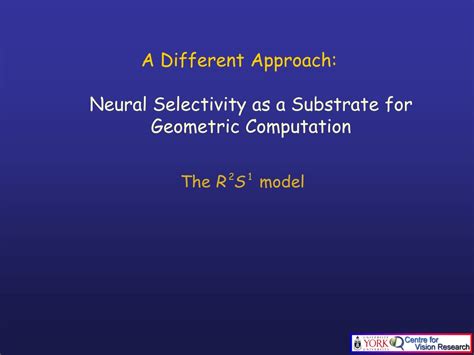 Ppt A Geometric Model Of V1 Neural Selectivity Tangent Support Fields Powerpoint Presentation