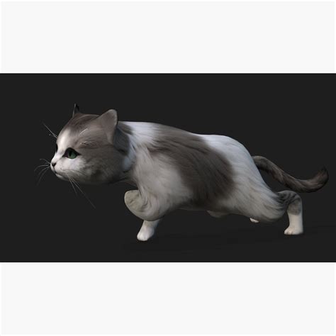 Cat A2 3d 모델 다운로드 포유류 On