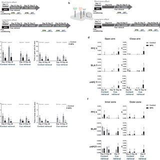 Fear Memory Retrieval Promoted Anxiety And Neuronal Activity A Anxiety Download Scientific