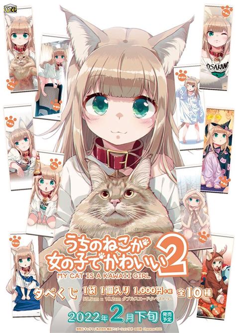 우리집 고양이가 여자애라 귀여워 22 02 01 ~ 22 09 24 [오리지널 만화] 네이버 블로그