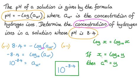 Logarithmic Used In The Real World At Susan Tucker Blog