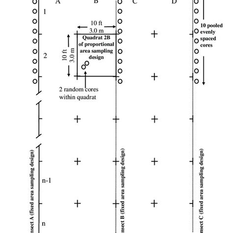 Diagram Of The Layout For The Proportional Area Sampling Design And The