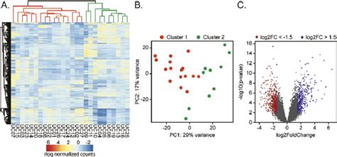 Transcriptome Analysis Identifies Two Distinct Uc Subsets A Heatmap Download Scientific