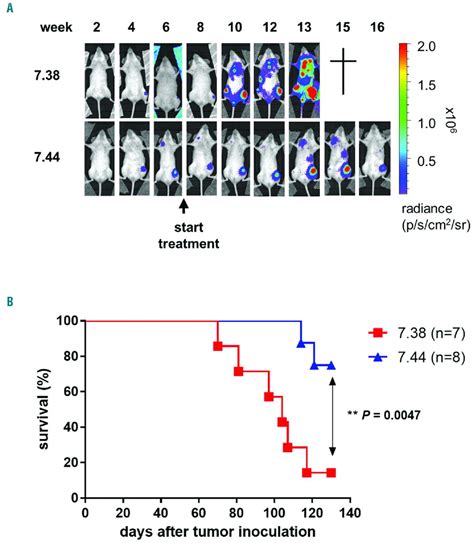 Suppression Of RUNX1 ETO Oncogenic Activity By A Small Molecule Inhibitor Of Tetramerization