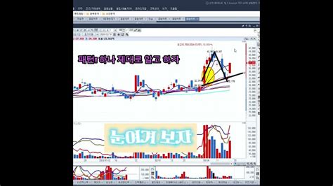 한농화성 메드팩토 세경하이테크 금양 제룡전기 Youtube