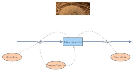 Lab 5 Exercise 3 Insight Maker