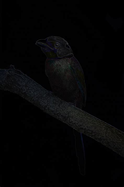 C How To Image Boundary Extraction Software By Default