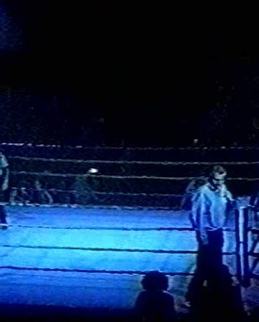 Foxy Boxing 65