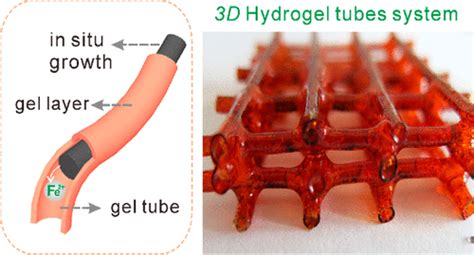 通过现场表面自由基聚合制备3d管状水凝胶材料 Chemistry Of Materials X Mol