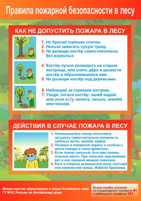 Правила пожарной безопасности в лесу Детский сад № 45 Солнышко