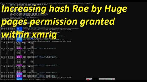 Behnam Alizadehashrafi On Linkedin افزایش هش ریت در ایکس ام ریگ