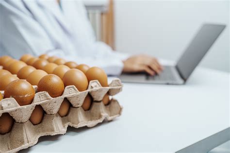 실험실 테스트 작업자 품질 관리 최적의 닭고기 달걀 품질 실용적인 접근 가금류 달걀은 농산물의 품질을 정확하고 일관되게 측정합니다 Performing Arts Event에