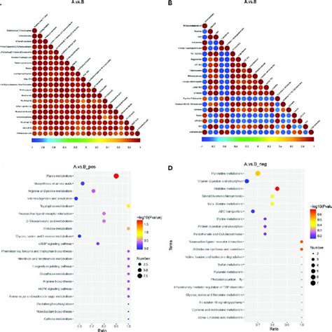 Visualization Of Dems A And B Correlation Analysis Of Dems When The Download Scientific