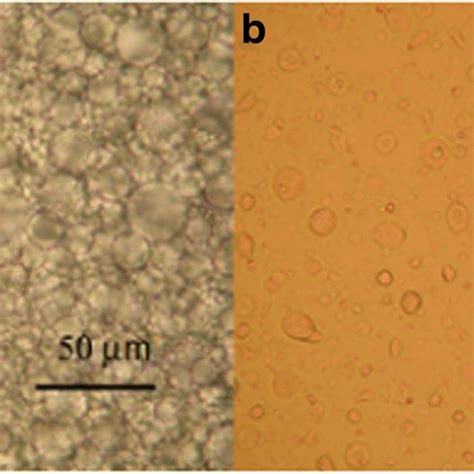 A B Microstructure Of Reverse Emulsion Emme And Polymer Matrix Download Scientific Diagram
