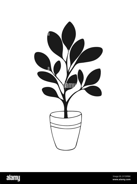 Indoor Tree Plant In A Pot Flowerpot Hand Drawn Doodle Drawing Isolated On White Background