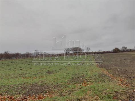 Самуилово Земеделска земя 5000 кв м Не е посочено Земеделска земя 5000 кв м Не е посочено