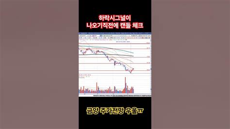 하락시그널이 나오기 직전에 캔들을 조심해라 우린 다 알고있다 금양주가전망 에이피알 두산로보틱스 에코프로에이치엔 포스코