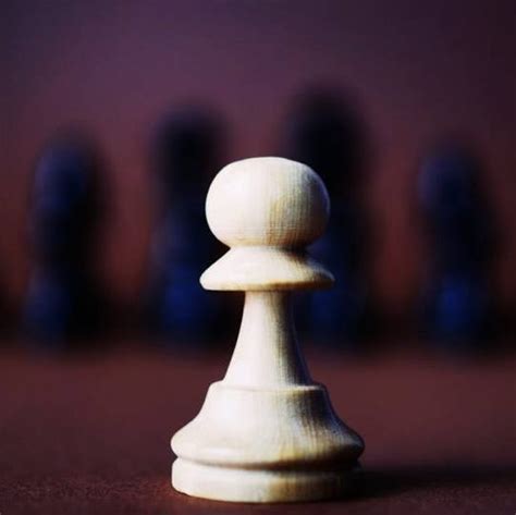 Зүйр цэцэн үгс