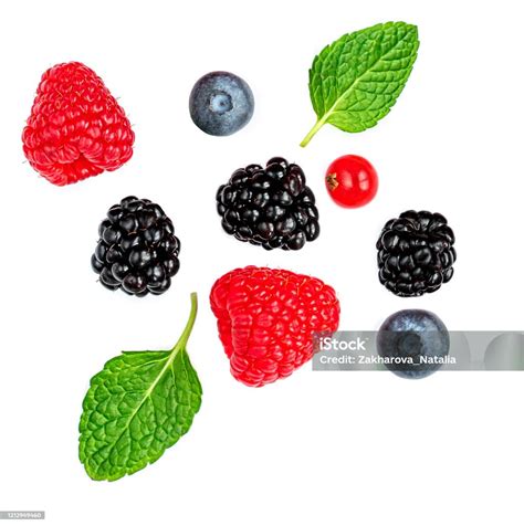 흰색 배경에 고립 된 신선한 믹스 베리 딸기 라즈베리 크랜베리 블루 베리와 민트 잎 플랫 레이 맨 위 보기 0명에 대한 스톡