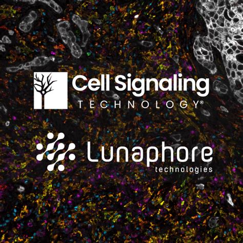 Lunaphore And Cst Partnership Advances Spatial Biology Research With Over 1 700 Ihc Validated