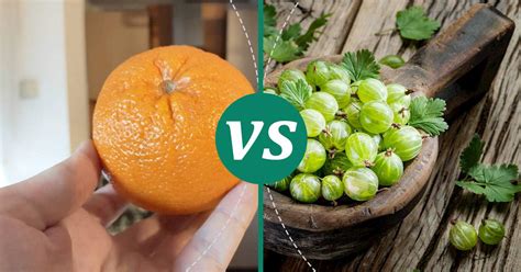 Gooseberry Vs Orange Nutrition Calories And Protein Compared