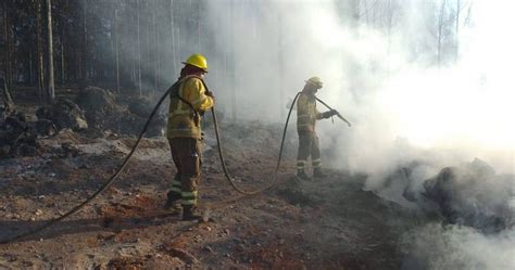 Expertos De Conaf Y Corma Evaluaron Periodo De Incendios Forestales
