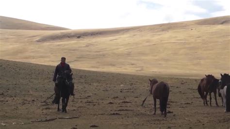 Улсын Аварга малчин Шамешын Серик Түүний мал маллах арга ухаан Керей хонины онцлог гарал