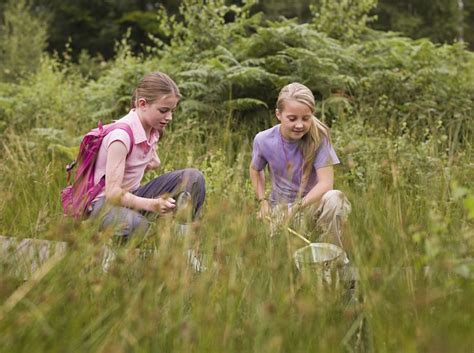 Map Of Natural Treasures In The Playground
