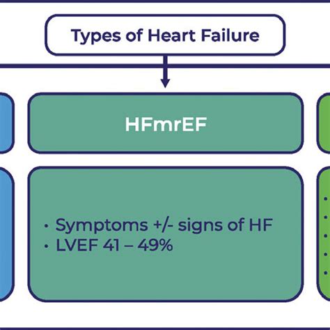 Illustration Of The Many Faces Of The HFpEF Phenotype Reflecting Download Scientific Diagram