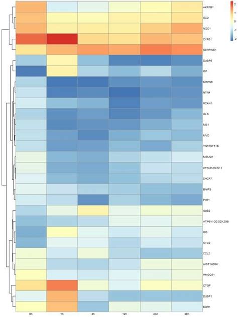 Differential Expression Profile Of 29 Genes After 1 4 12 24 And 48