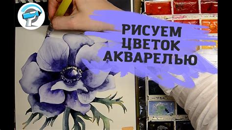 Как Нарисовать Цветок Акварелью Уроки рисования акварелью от Ирины Сарт Youtube
