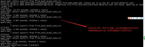Hudi系列26 Spark处理flink Cdc同步的实时数据spark 实现cdc Csdn博客