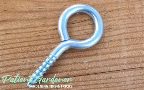 How To String Grow Tomatoes In A Greenhouse Patient Gardener