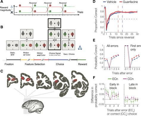 Noradrenergic Alpha 2a Receptor Stimulation Enhances Prediction Error Signaling In Anterior