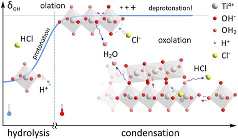 Catalytic Role Of Hcl During Hydrolysis And Condensation Processes In Download Scientific