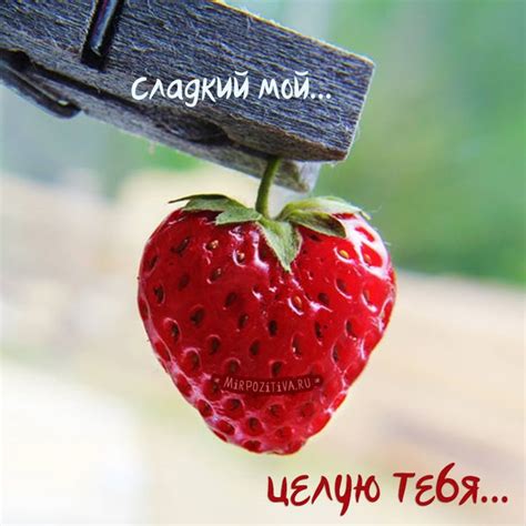 Целую тебя картинки Inspiratie