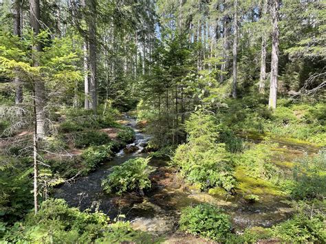 Quellwasser Nutzen Nutzung Der Wasserquellen In Hollabrunn Hollabrunn